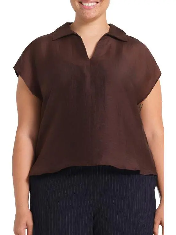ESTELLE Kelly Sheer Top - Chocolate