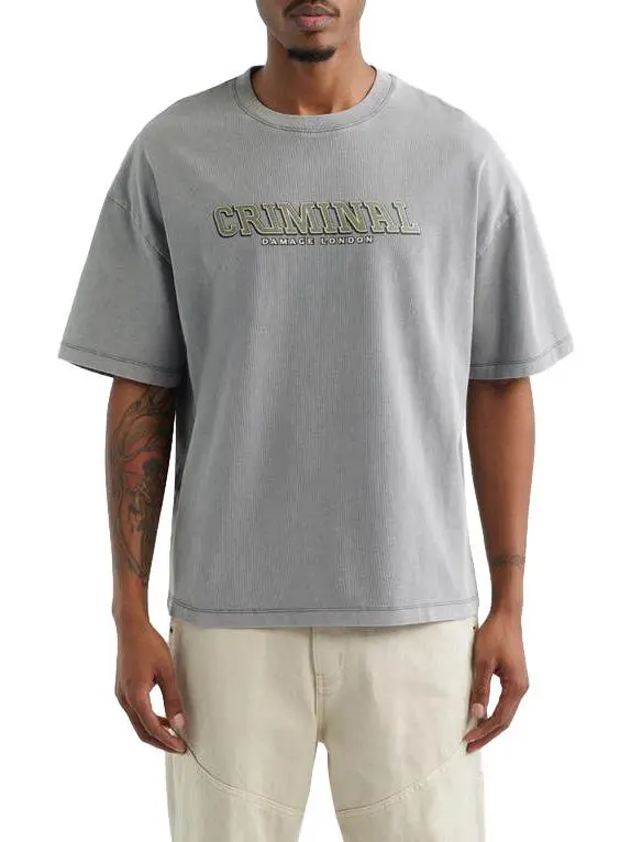 CRIMINAL DAMAGE Statute Graphic T-shirt - Grey