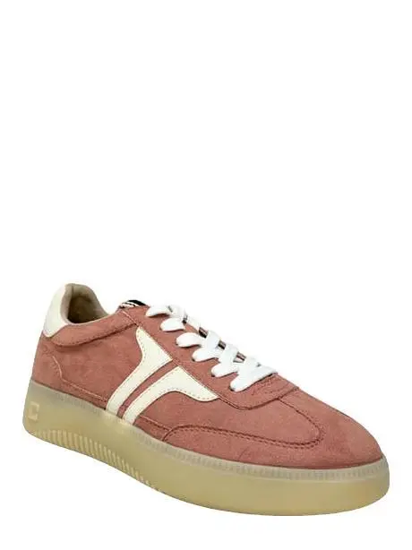SHU SHOP Poppy Sneaker - Dust Pink Suede