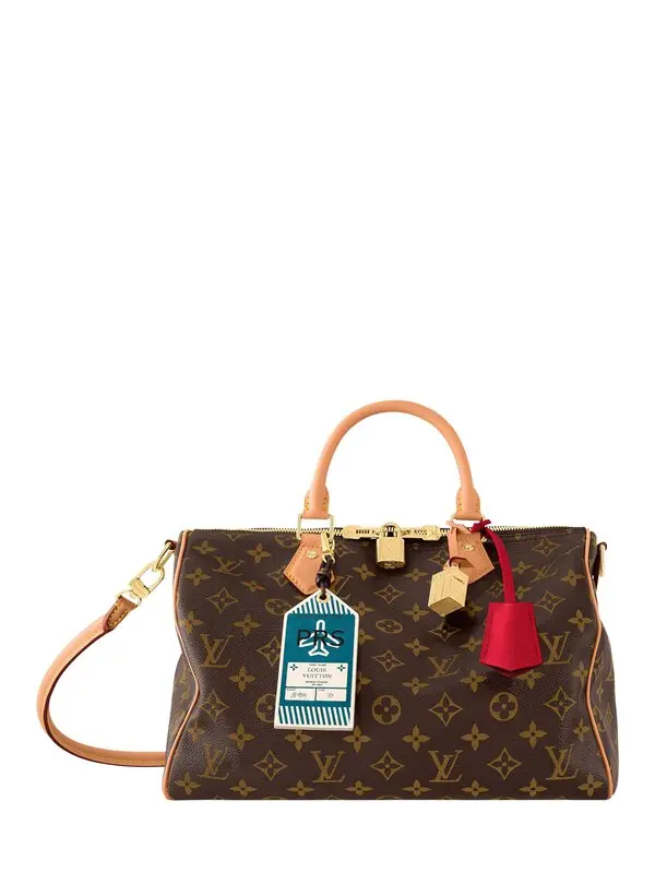LOUIS VUITTON Speedy Soft 30 - Brown