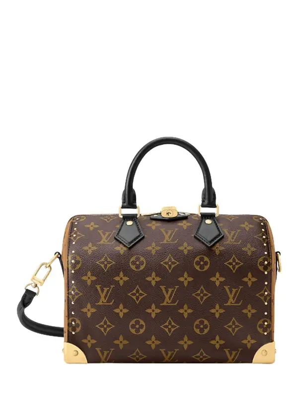 LOUIS VUITTON Speedy Trunk 25 - Brown