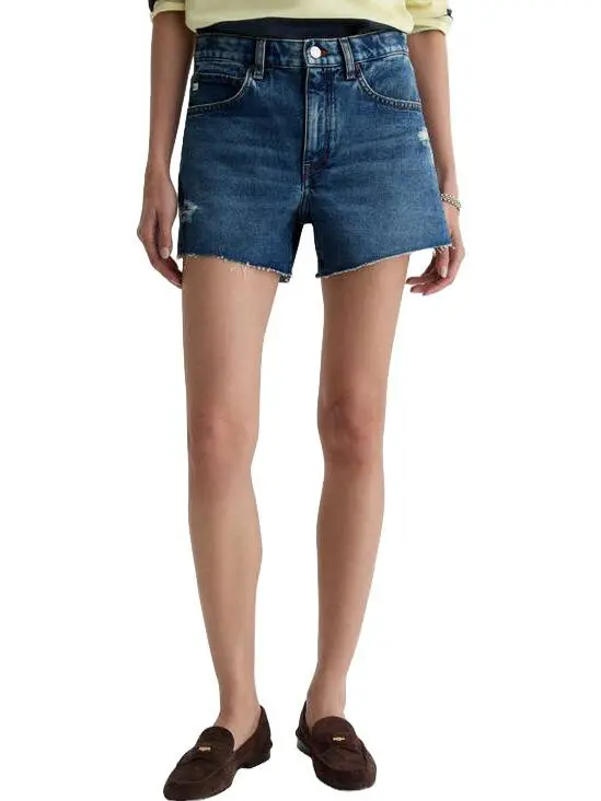 Ag Halle High Waist Cutoff Denim Shorts - 11 Years Enrich