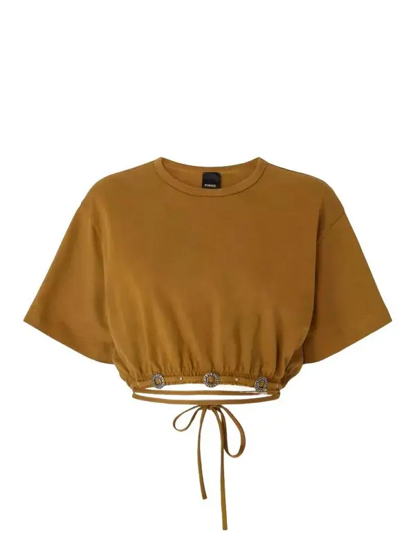 Pinko Tie-waist Cropped Top - Neutrals