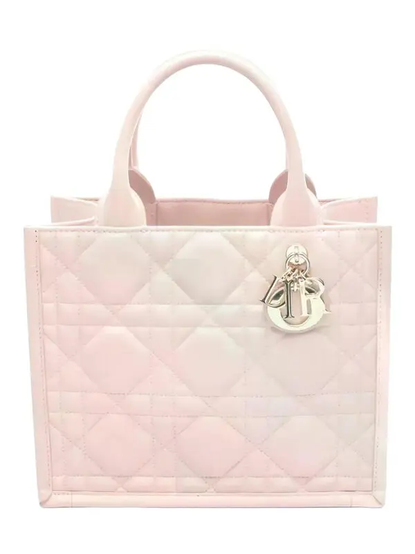 Dior Small Book Tote Bag - Pink