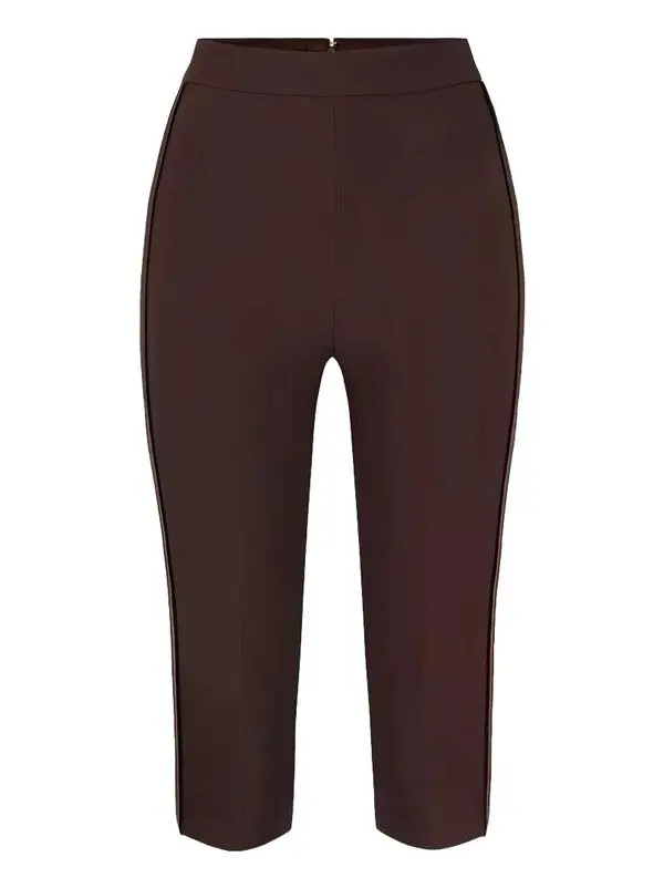 Elisabetta Franchi Capri Trousers With Satin Inserts - Brown