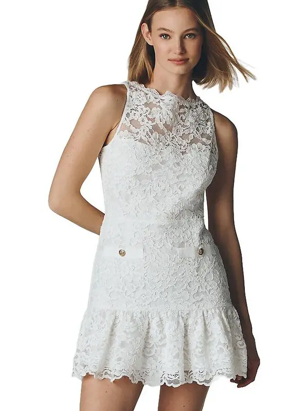 Saylor Drusilla Lace Drop-waist Mini Dress - White