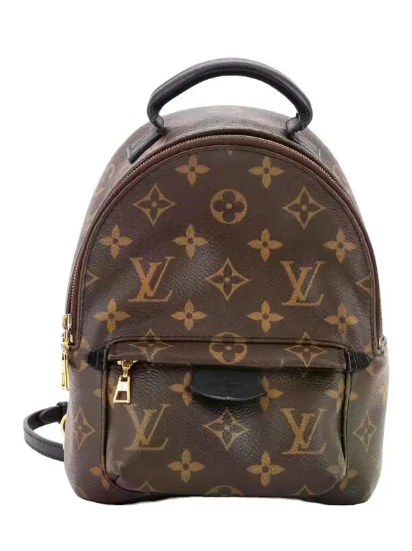 LOUIS VUITTON Palm Springs Monogram Canvas Mini Backpack - Brown