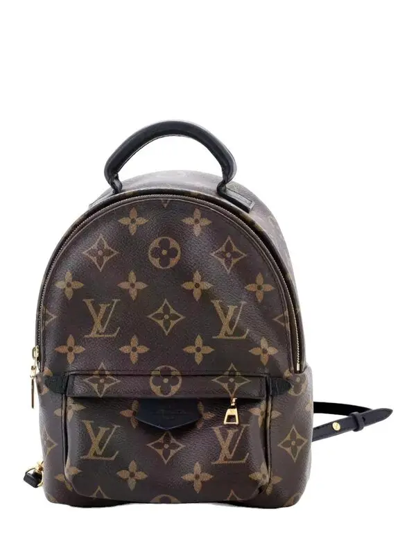 LOUIS VUITTON Palm Springs Monogram Canvas Mini Backpack - Brown
