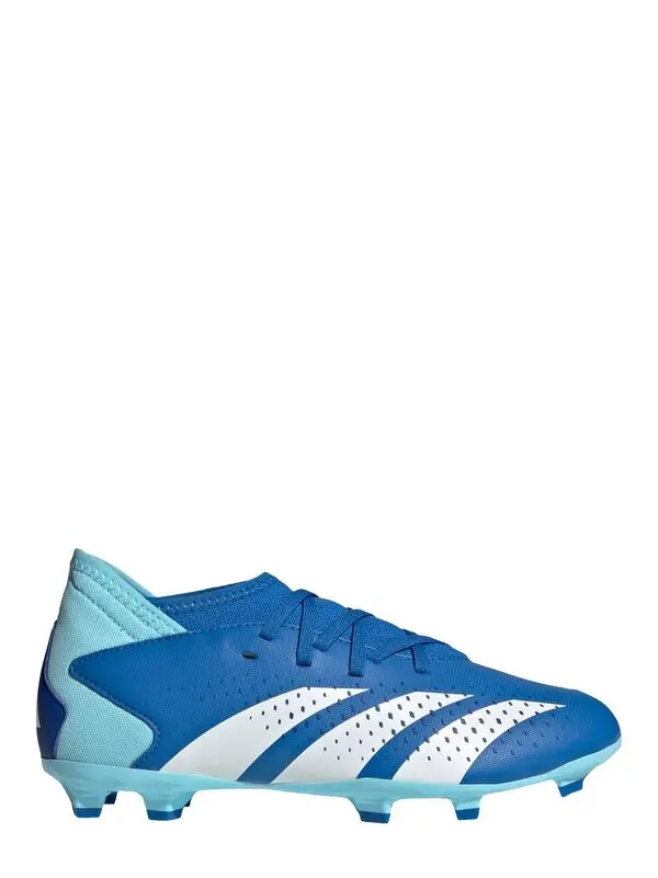 Adidas Predator Accuracy.3 Fg J - Blue