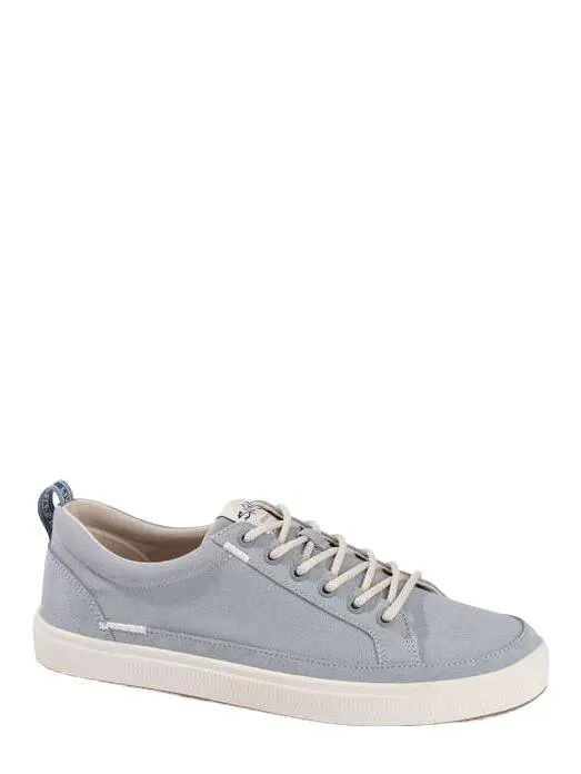 SALT LIFE The Coast Sneaker - Grey