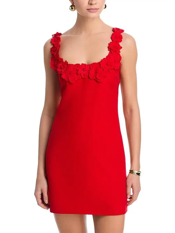 Aqua Applique Floral Mini Dress - Red