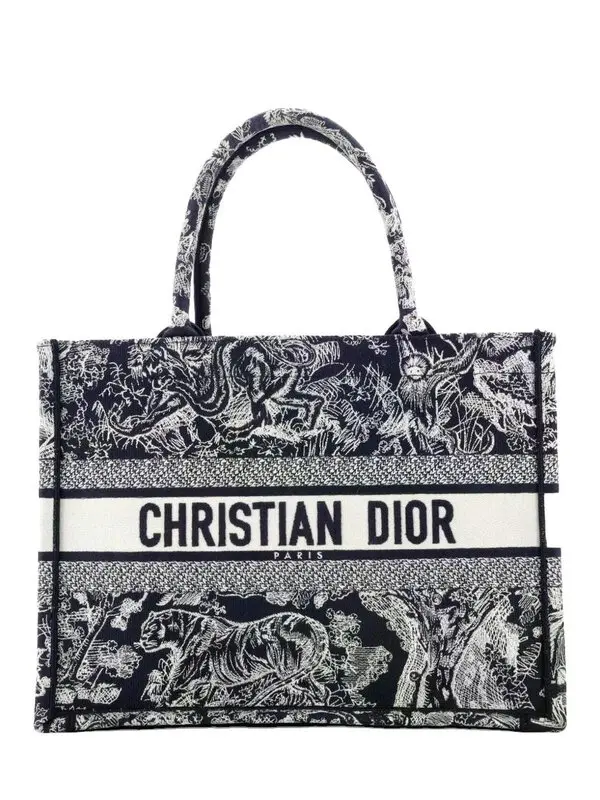 Dior Book Embroidered Canvas Medium Tote Bag - Blue