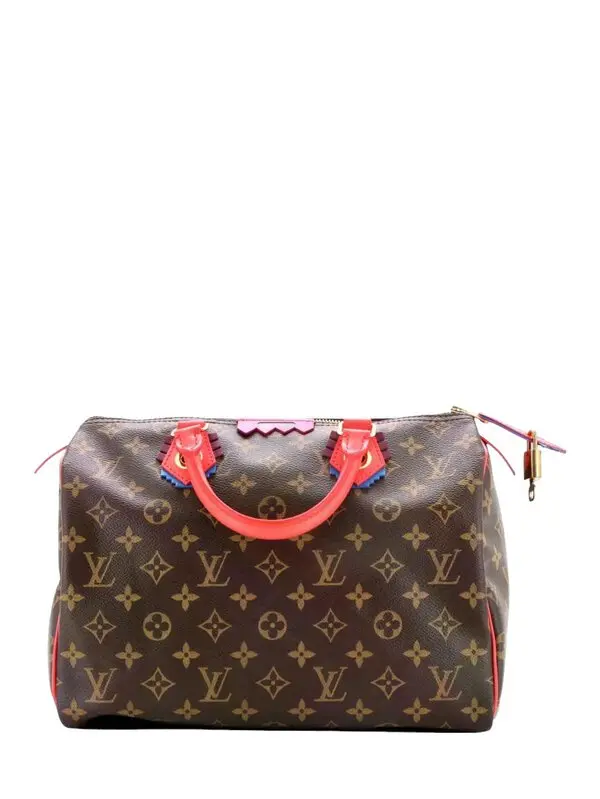 LOUIS VUITTON Speedy Handbag Limited Edition Totem Monogram Canvas - Brown