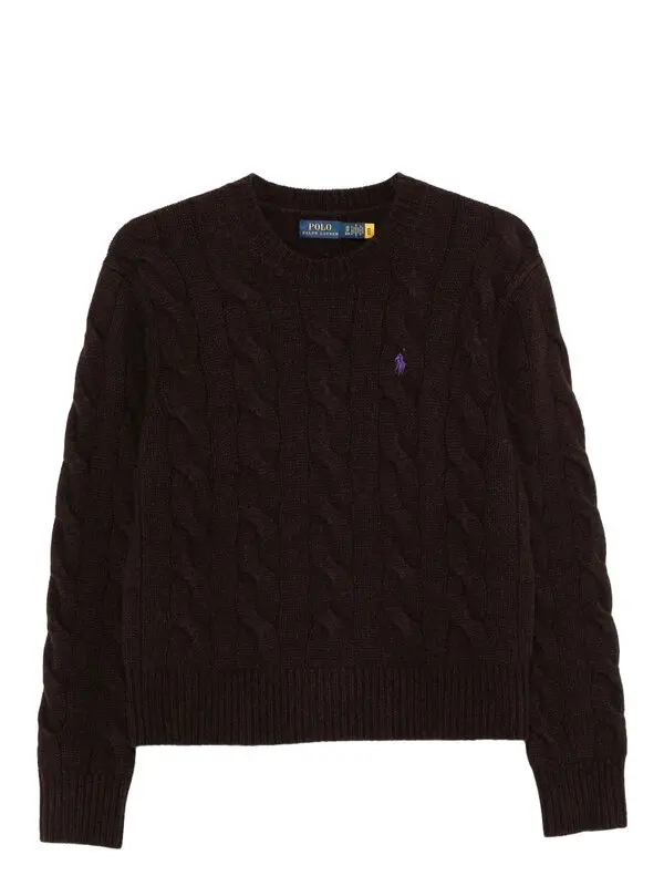 Polo Ralph Lauren Embroidered Logo Cable Knit Pullover - Brown