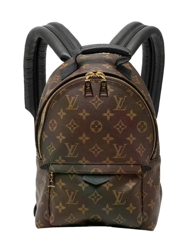 LOUIS VUITTON 2019-2021 Monogram Palm Springs Pm Backpack - Brown