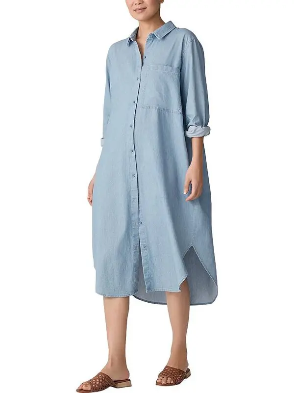 Eileen Fisher Classic Collared Dress - Whind