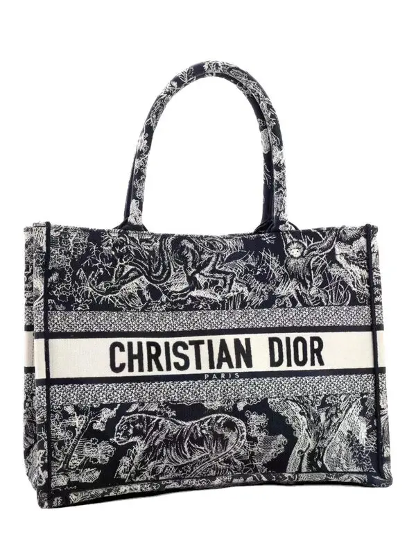 Dior Book Embroidered Canvas Medium Tote Bag - Blue