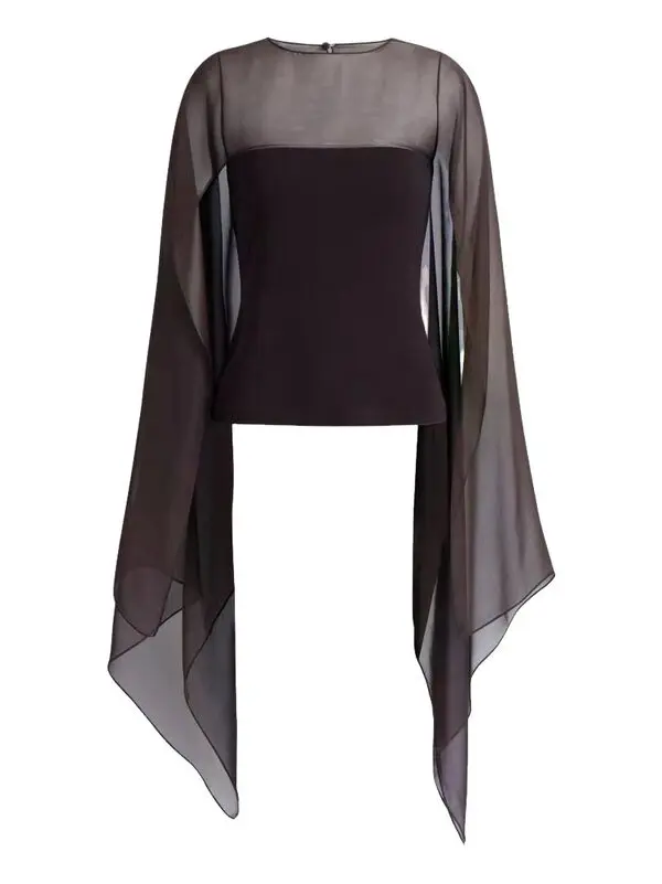 Alberta Ferretti Sheer-paneled Cape Top - Brown
