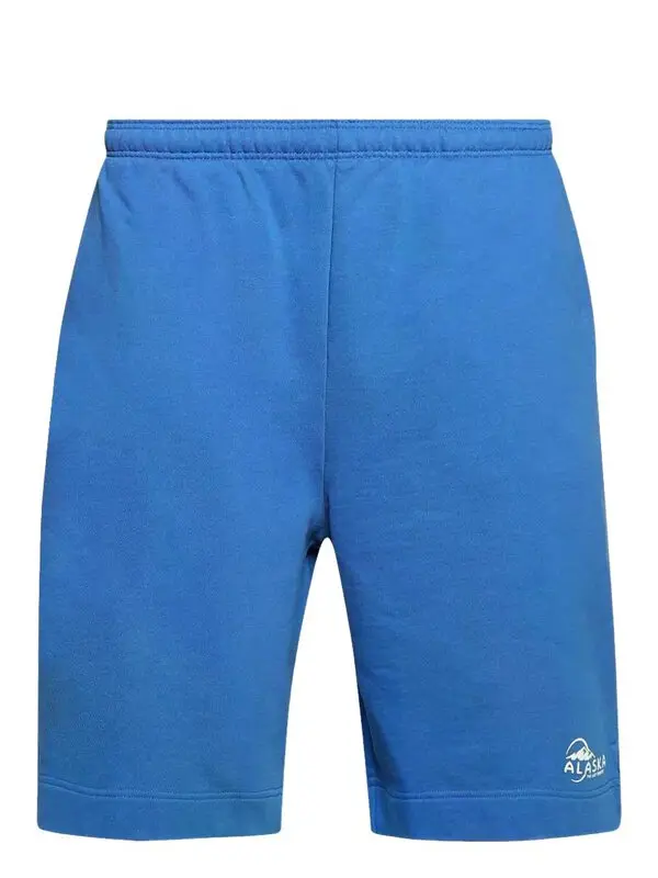 Vetements Logo Tourist Shorts - Blue
