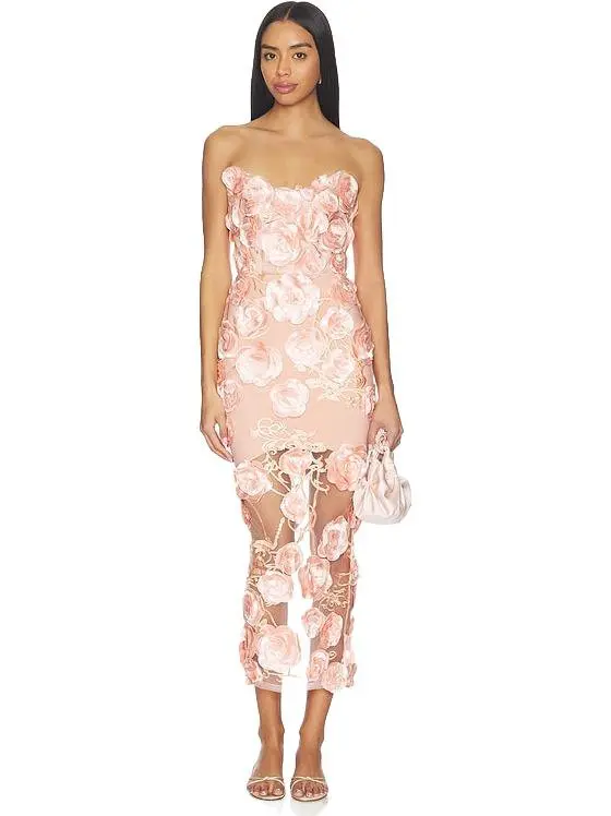 ZHIVAGO Dream Of That Dress - Blush