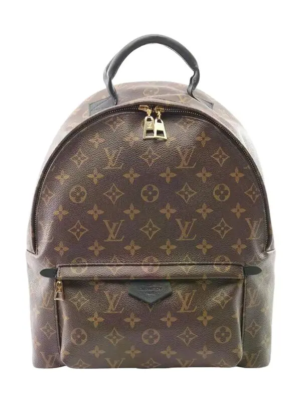 LOUIS VUITTON 2018 Monogram Palm Springs Mm Backpack - Brown