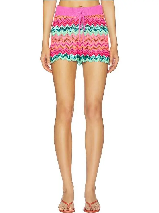 Beach Riot Balboa Knit Shorts - Strawberry