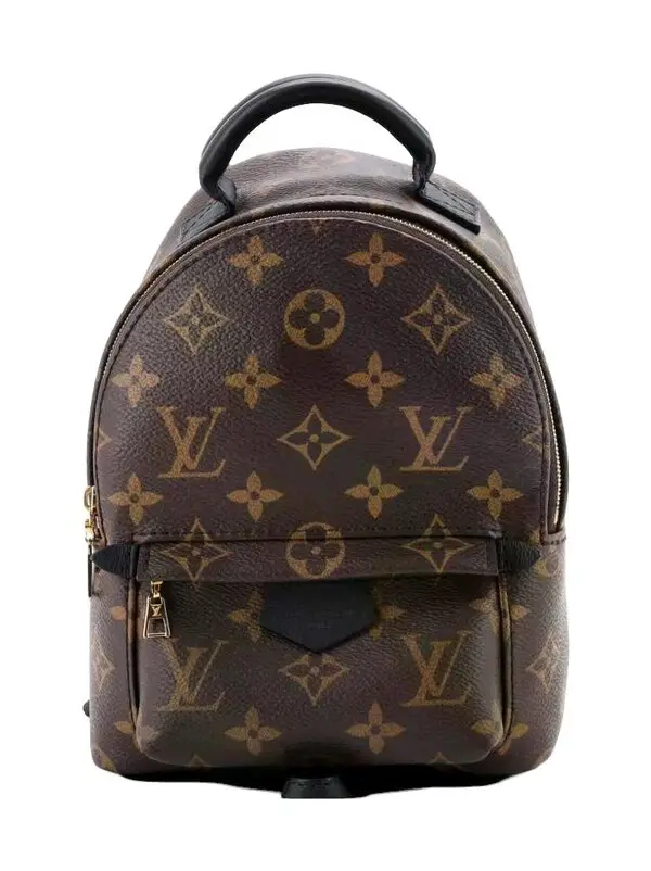 LOUIS VUITTON Palm Springs Monogram Canvas Mini Backpack - Brown