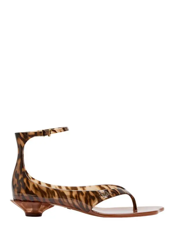 Chloé Jelly Thong Sandals - Brown