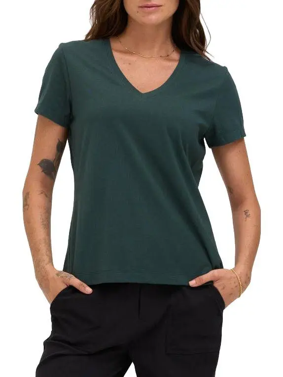 THREADS 4 THOUGHT Organic Cotton V-neck T-shirt - Alpine