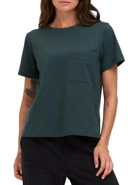 THREADS 4 THOUGHT Organic Cotton Crewneck T-shirt - Alpine