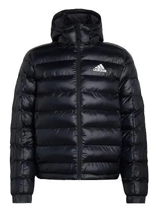 Adidas 3stripes Sdp Badge Of Jacket - Black White
