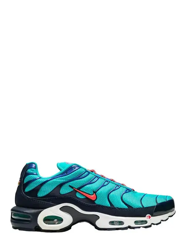 Nike Air Max Plus Sneakers - Blue