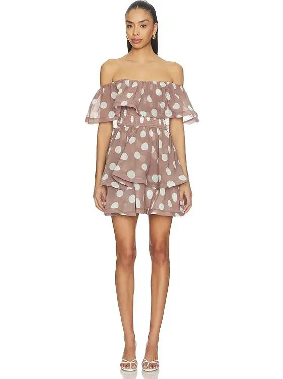 ELLIATT Sola Polka Dot Mini Dress - Brown & White