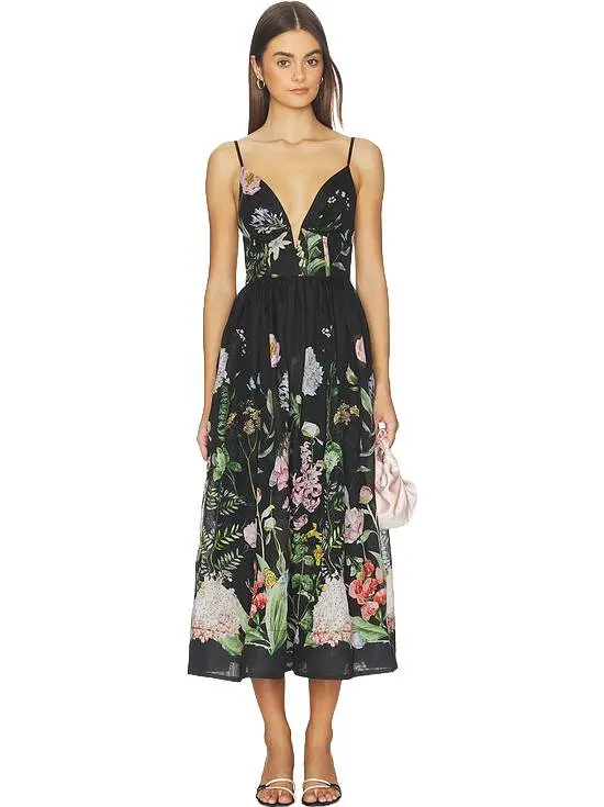 Cara Cara Pero Midi Dress - Bloomsfield Black