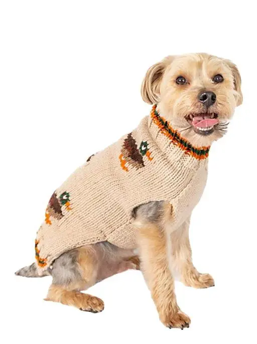 CHILLY DOG Lucky Duck Dog Sweater - Ivory