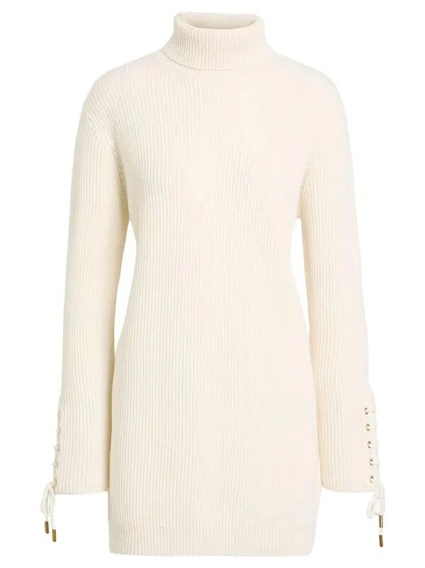 Max Mara Ghinea Ribbed Wool And Cashmere-blend Turtleneck Mini Dress - Ivory