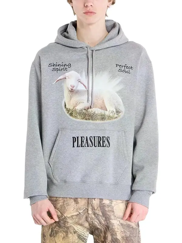 PLEASURES Graphic-print Hoodie - Grey