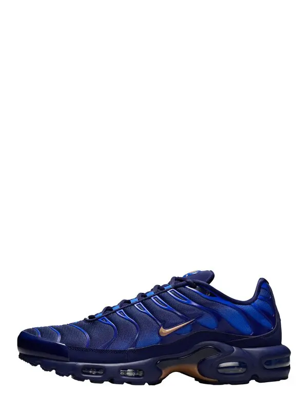 Nike Air Max Plus Og Sneakers - Blue