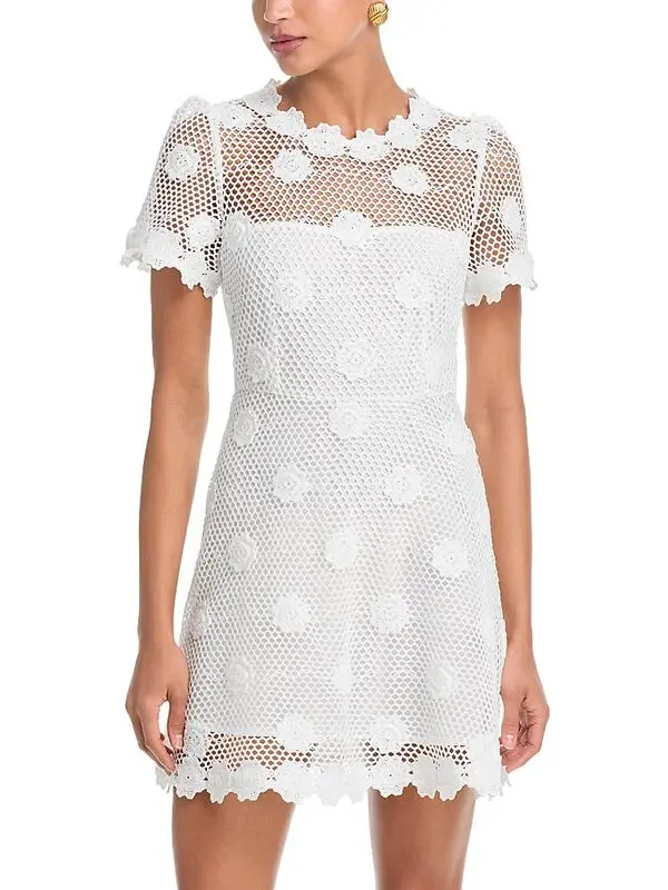 Aqua Embroidered Mesh Mini Dress - White