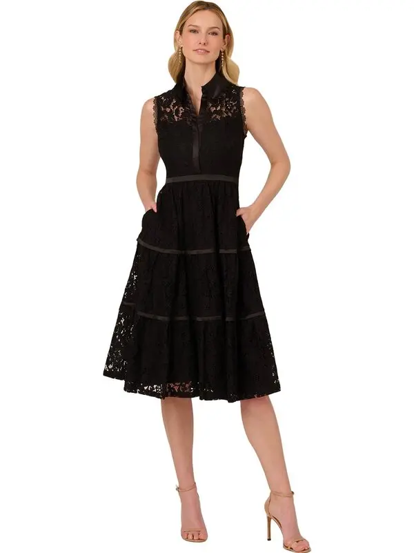 Adrianna Papell Sleeveless Lace Fit & Flare Dress With Collar - Black