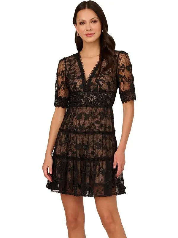Adrianna Papell Lace Embroidered V-neck A-line Dress - Black/nude