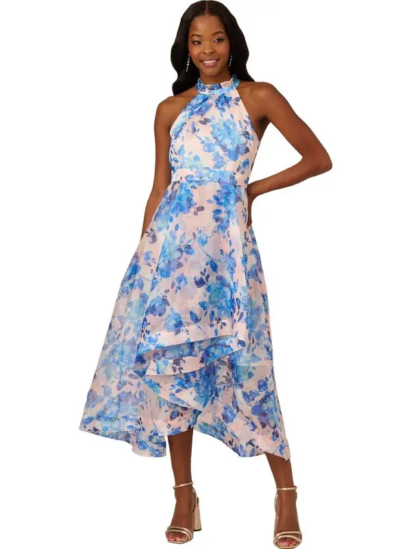 Adrianna Papell Floral Organza High Low Gown - Blush/blue Multi
