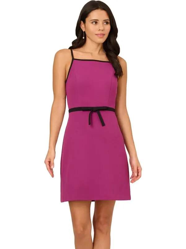 Adrianna Papell Sleeveless Contrast-tipped Short Crepe A-line Dress - Plum Berry