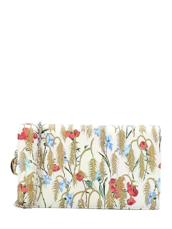 Dior Lady Wallet On Chain Printed Leather Crossbody Bag - Neutrals