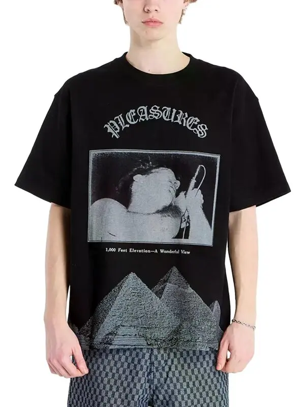 PLEASURES Elevation Heavyweight T-shirt - Black