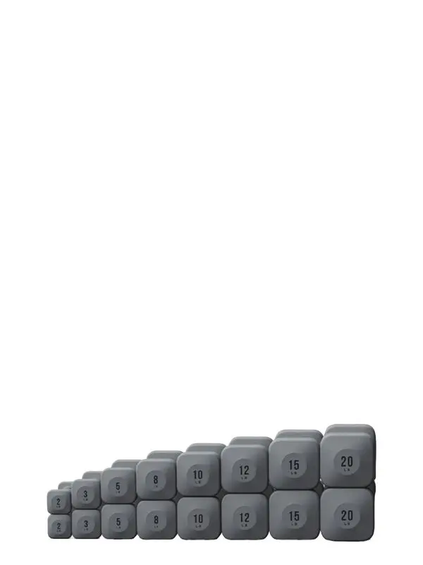 WEGYM Progrip Dumbbells Lower Set - Slate