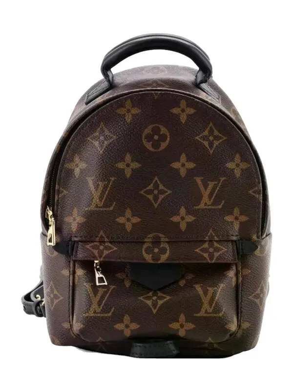 LOUIS VUITTON Palm Springs Monogram Canvas Mini Backpack - Brown