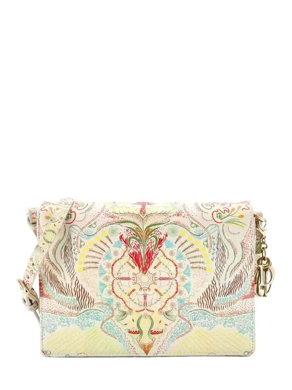 Dior Lady Wallet On Chain Printed Leather Crossbody Bag - Neutrals