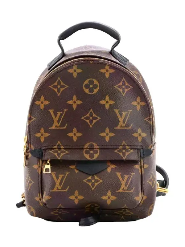 LOUIS VUITTON Palm Springs Monogram Canvas Mini Backpack - Brown