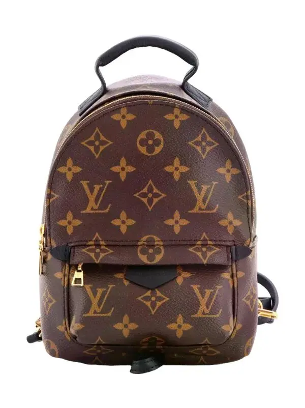LOUIS VUITTON Palm Springs Monogram Canvas Mini Backpack - Brown